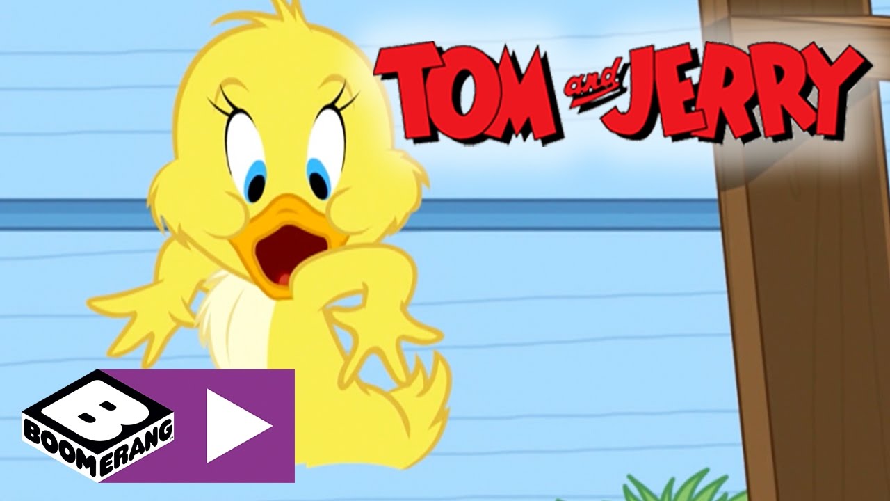 Tom & Jerry | Swimming In Paint | Boomerang UK - YouTube