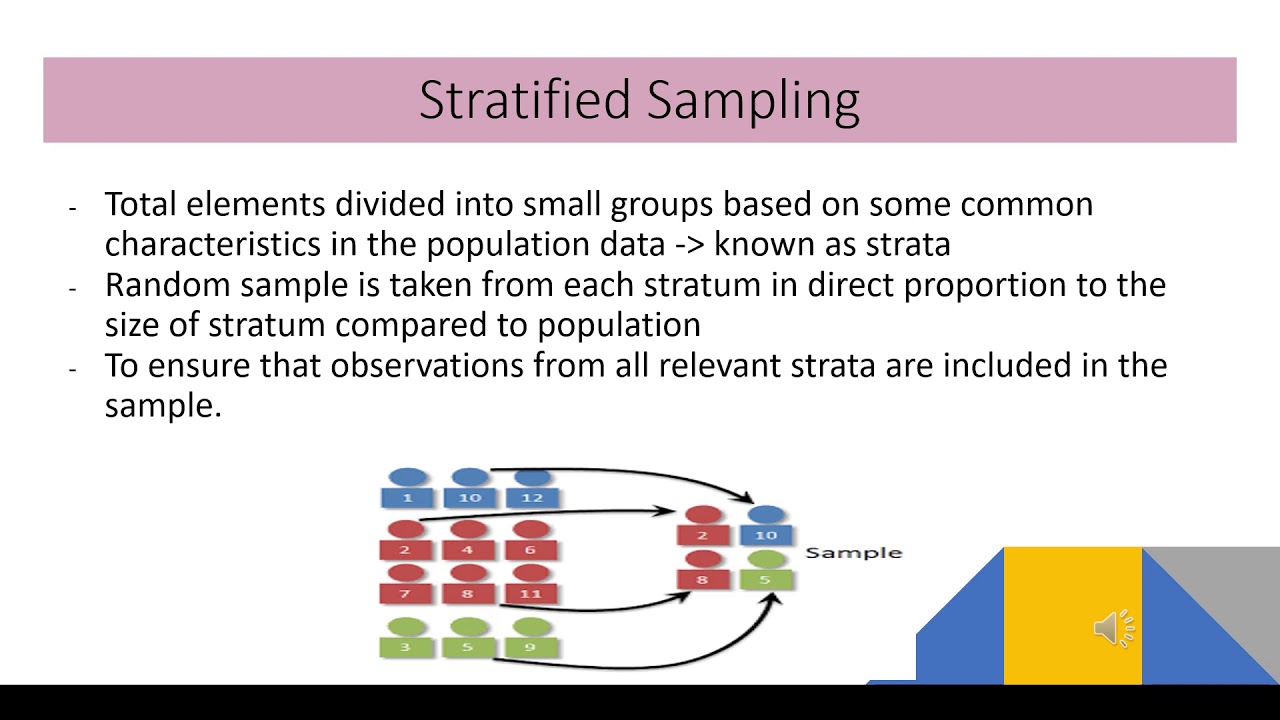 SQQS 2083 Sampling Assignment(Group 1) - YouTube