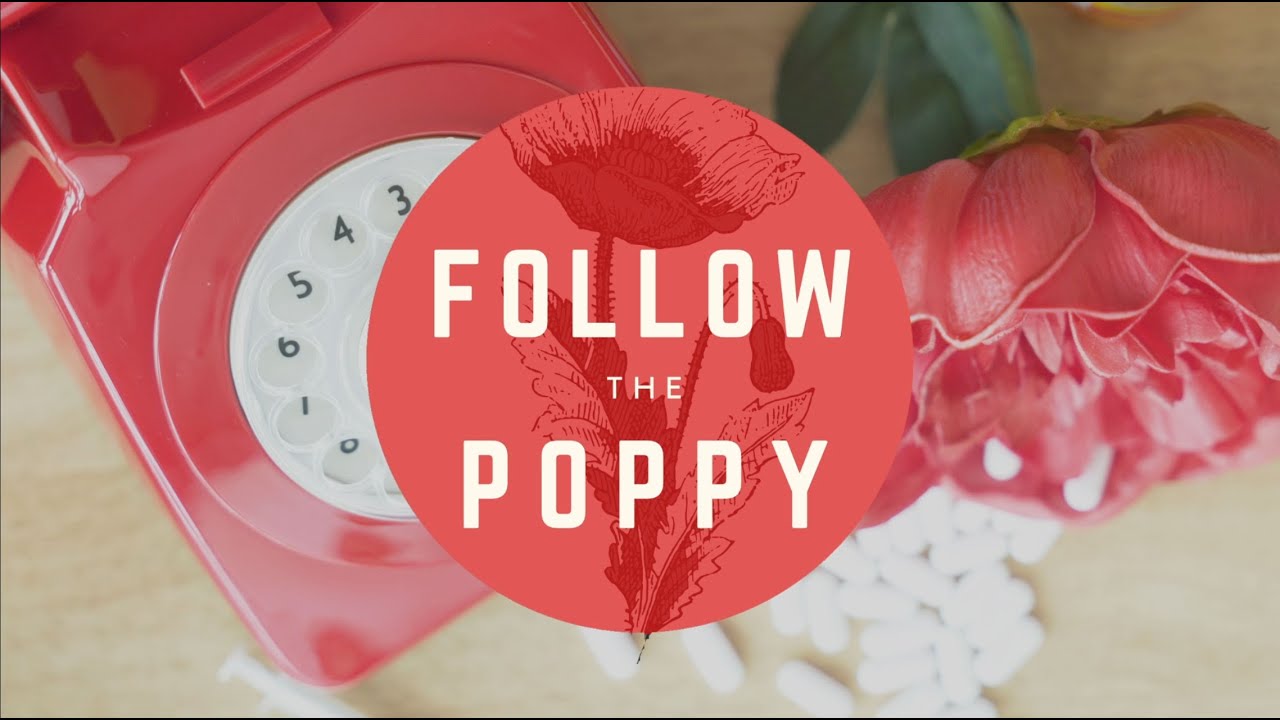 An Introduction to Follow The Poppy - YouTube
