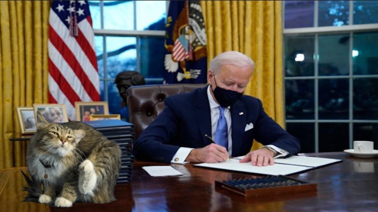 Biden with his Cat in his Office 2021 😁😁 - YouTube