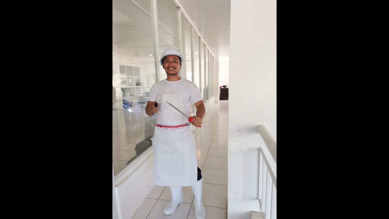 Slaughtering procedure (swine) - YouTube