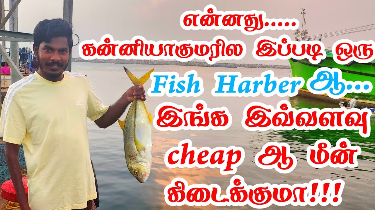 என்னது...கன்னியாகுமரில இப்படி ஒரு ‌Fish Harber ஆ... / Jeppiaar Fishing ...