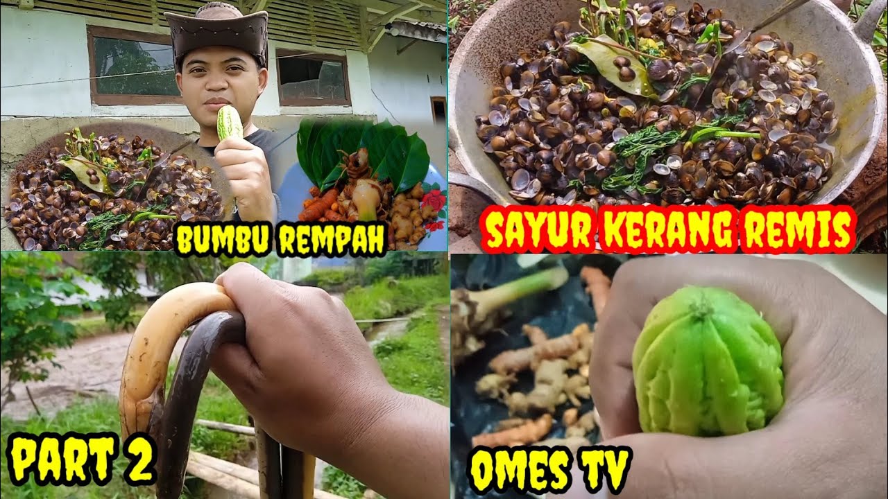 MASAK SAYUR KERANG REMIS[][] RESEP SAYUR REMIS YANG ENAK+Lalaban pare ...
