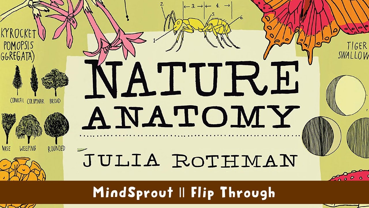 NATURE ANATOMY | Julia Rothman Collection | Book Flip Through - YouTube