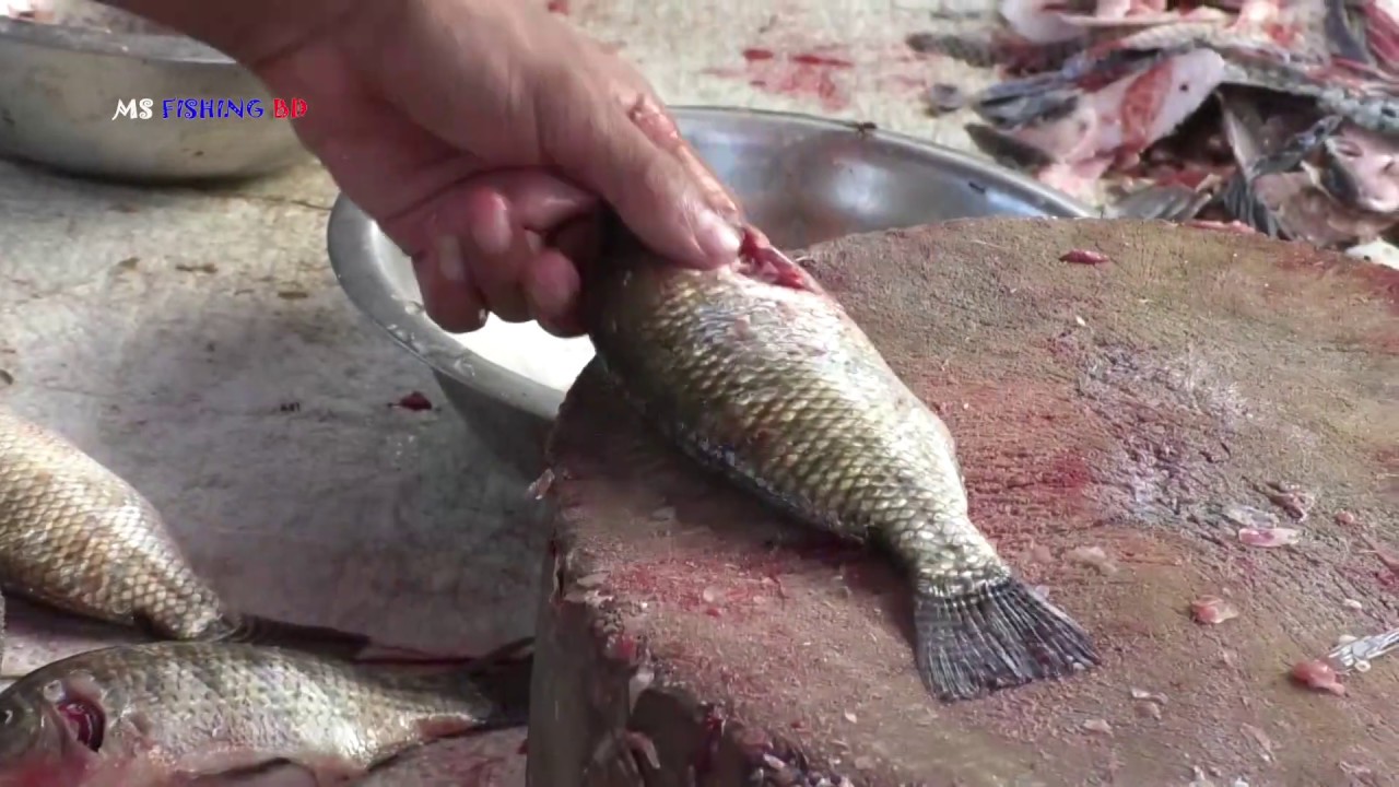 Amazing Talapia Fish Cutting By Ms Fishing Bd ! Fish Cut Skills HD ...