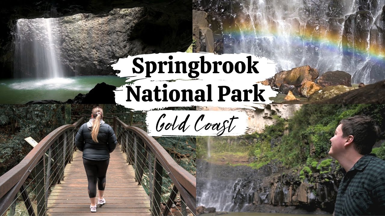 Springbrook National Park || The Best Waterfalls on the Gold Coast ...