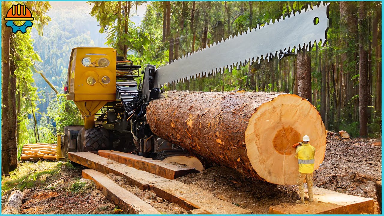 200 Incredible Fastest Big Chainsaw Cutting Tree Machines Working At ...