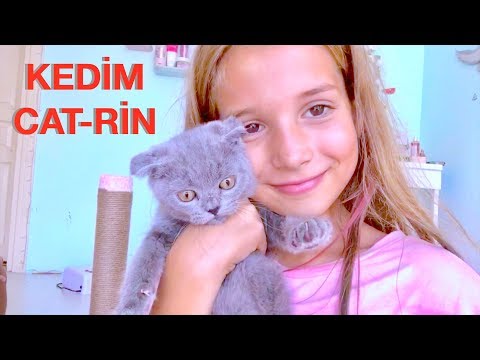 Bir Kedim Oldu. Cat-Rin İçin Odamda Yer Açıyorum. Ecrin Su Çoban