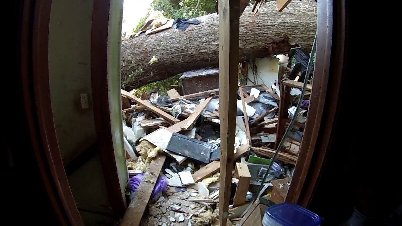 Woman trapped by fallen tree calls 911 to talk to mom - YouTube