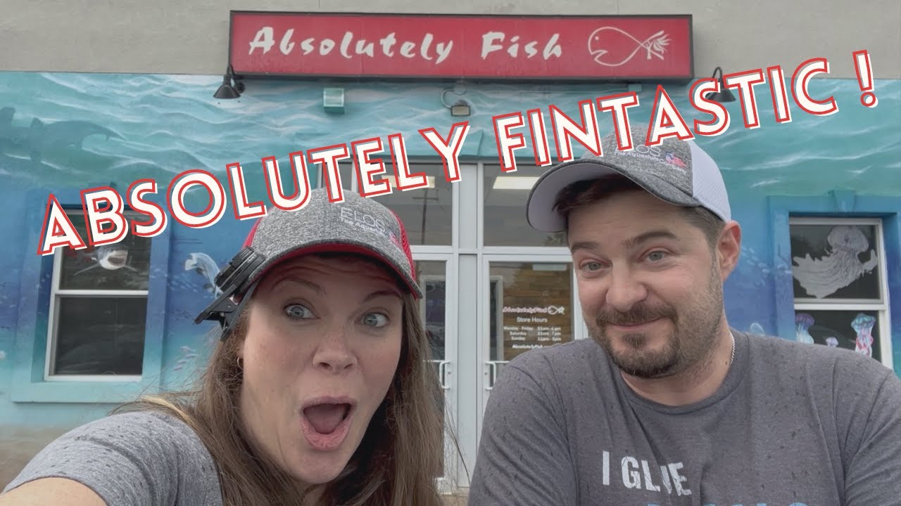 SO CRAZY FISH AT ABSOLUTELY FISH -aquarium store tour and interview ...