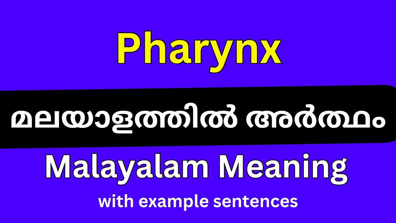 Pharynx Meaning
