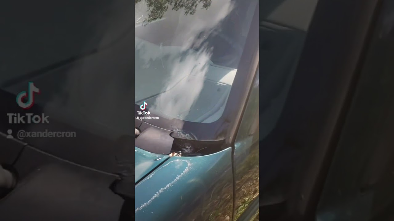 Squint she's Mint - YouTube