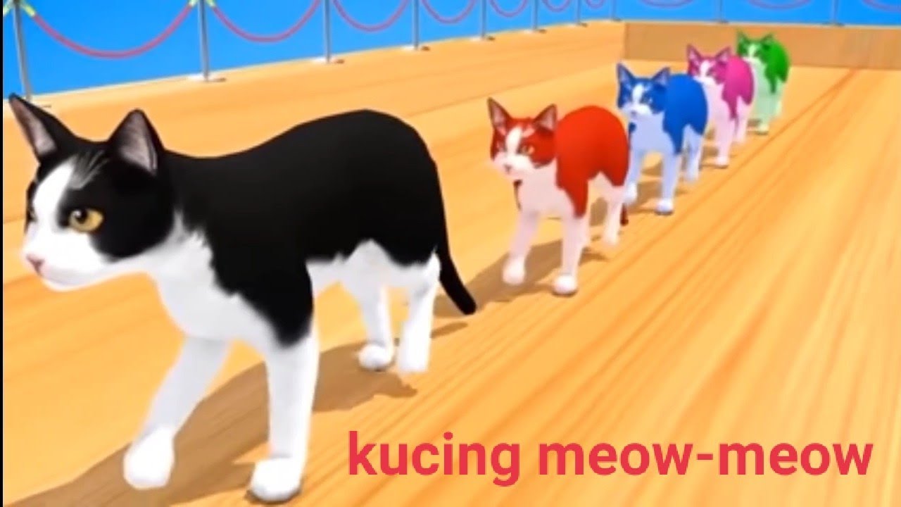 Kucing meow - meow yang lucu - YouTube