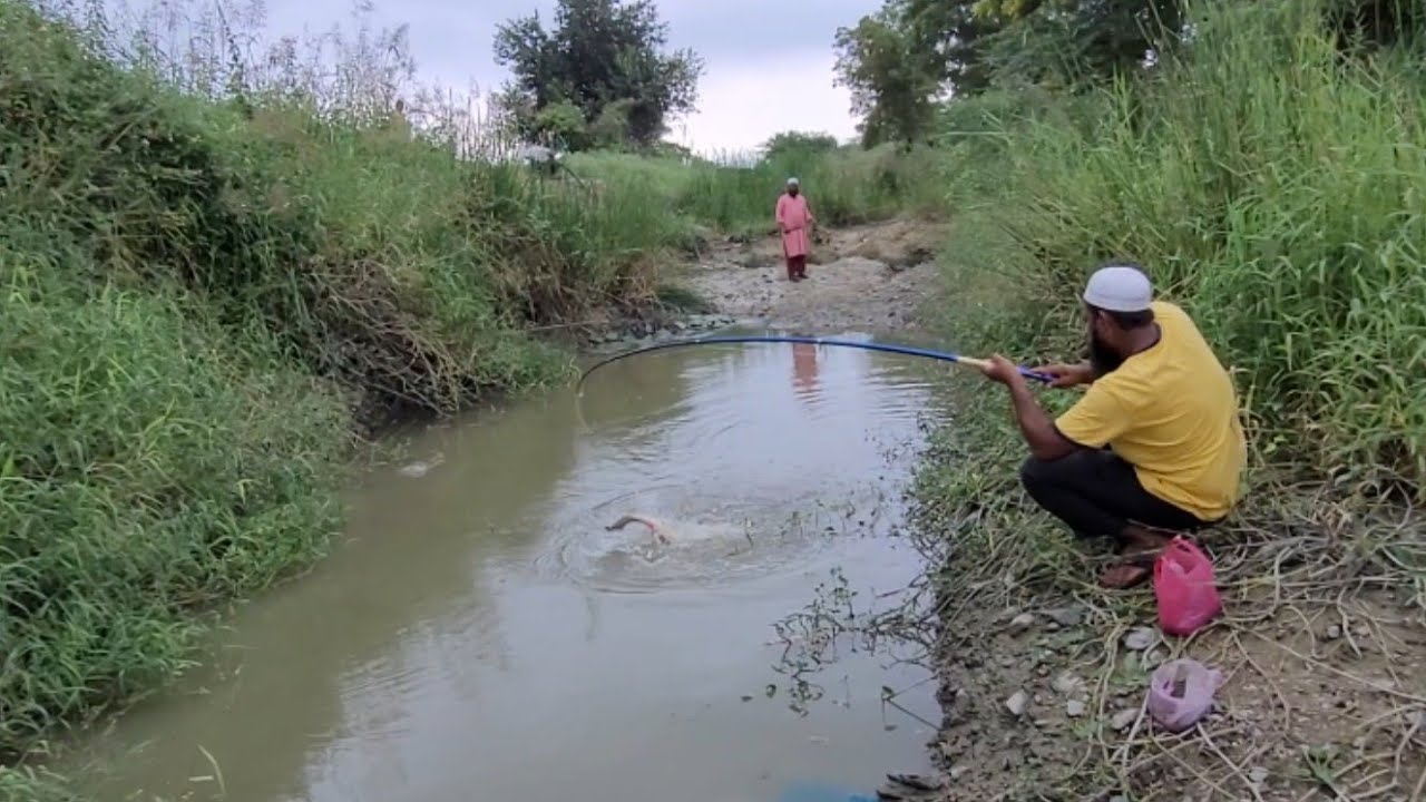 Best small single hook fishing in ponds|Fisher Man Catching Big catfish ...