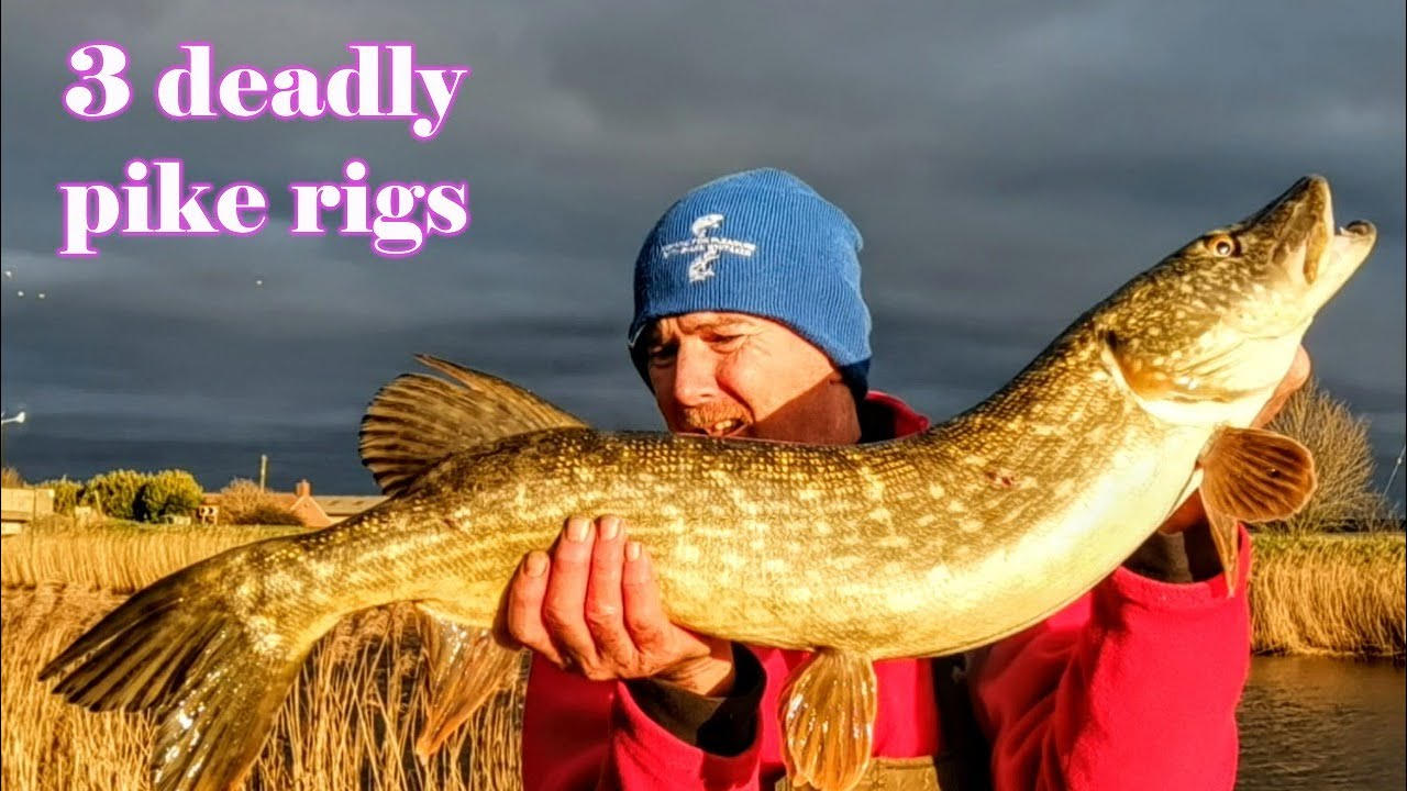3 deadly Pike fishing rigs : Pike fishing UK - YouTube