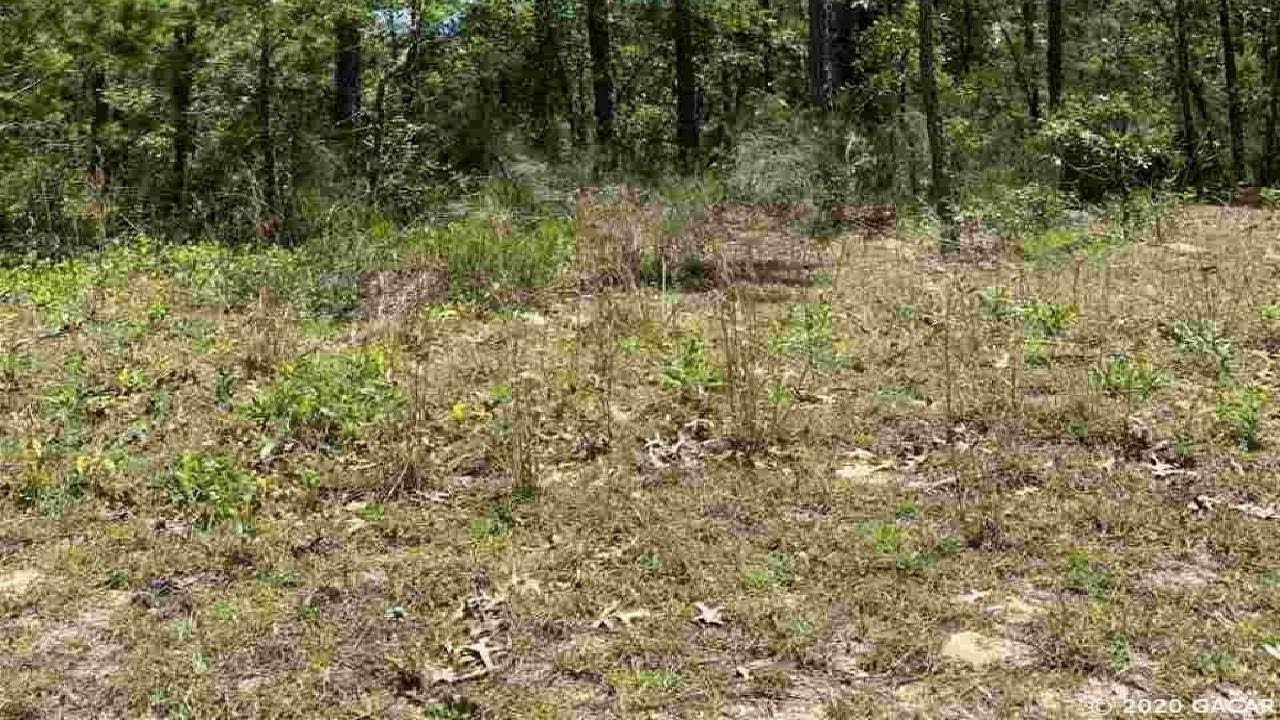 0000 SW 47th Court Road, Ocala, FL Presented by Christopher Hickox ...