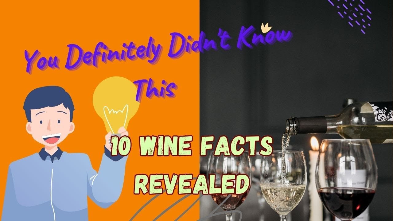 🍷 10 interesting facts about Wine! 🍷 - YouTube