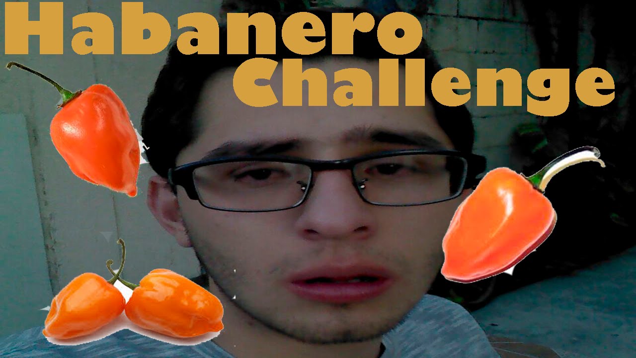 HABANERO | ALEX LLANOS FT. RAUL LOYA - YouTube