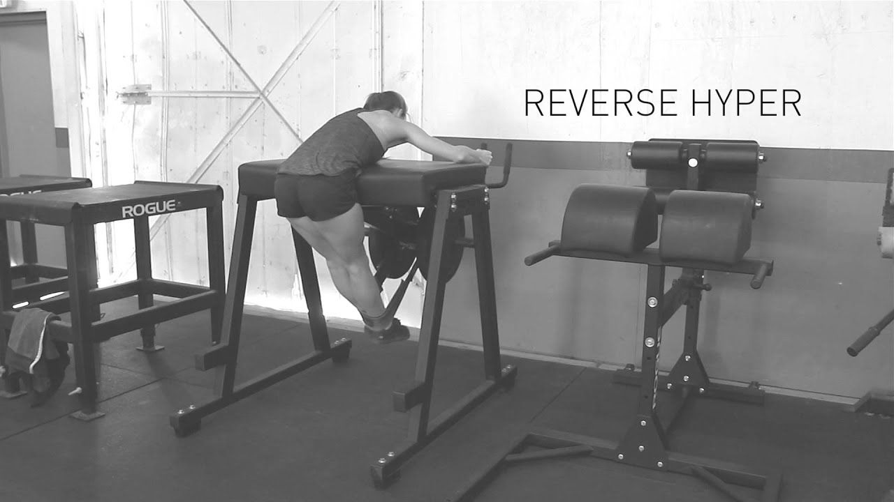 Reverse Hyper - YouTube