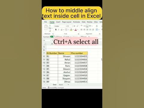 How to Middle align Text inside cell in Excel 🤯|Excel trick and tips #shorts #excel #skills # ...