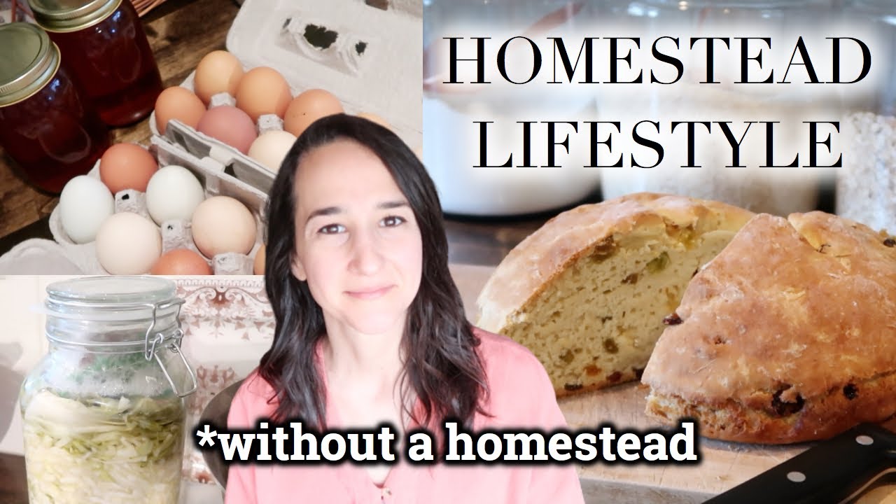 Ways to Live a Natural/Homestead Lifestyle When You Don't Have One ...