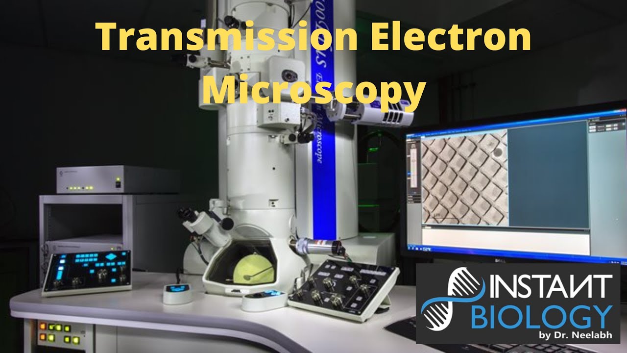 Transmission Electron Microscope - YouTube