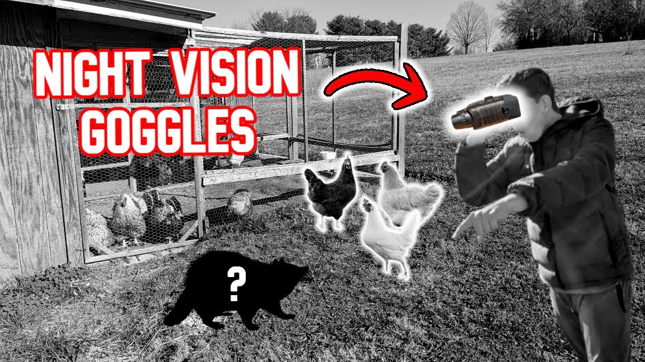 Night Vision Goggles Reveal A Chicken Coop Stalker! - YouTube