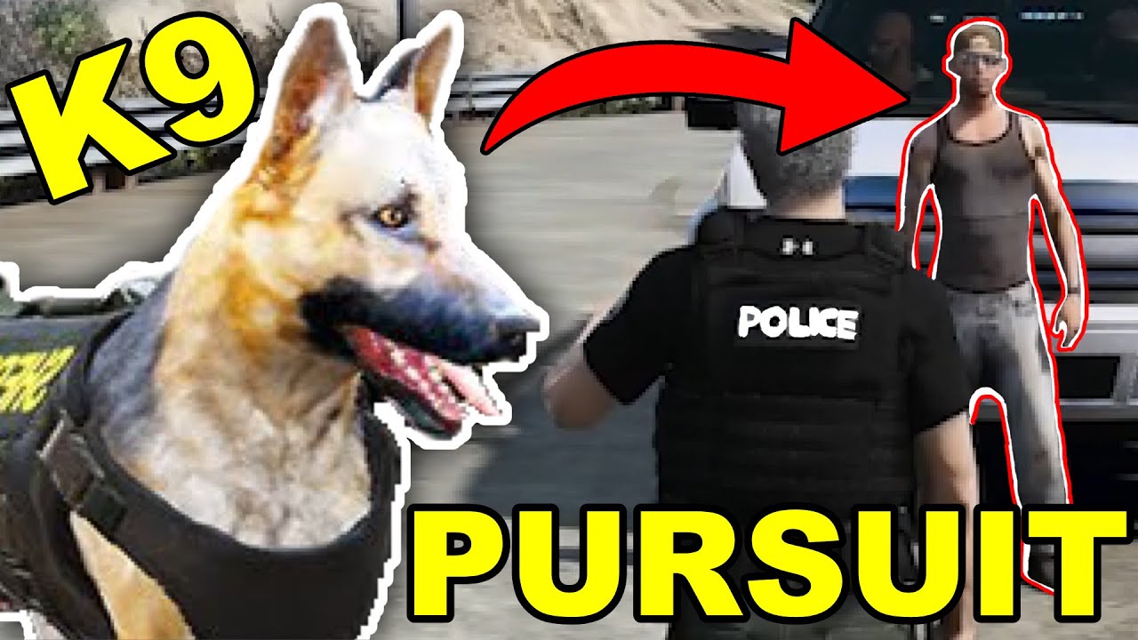 K9 BITES DRUNK DRIVER! | Real Cop Plays GTA V RP - YouTube