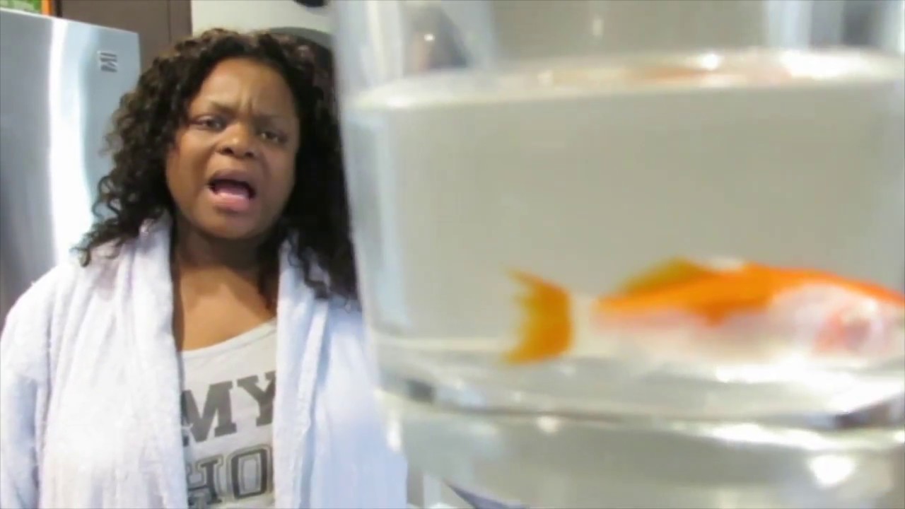 GOLDFISH IN DRINKING GLASS| PRANK - YouTube