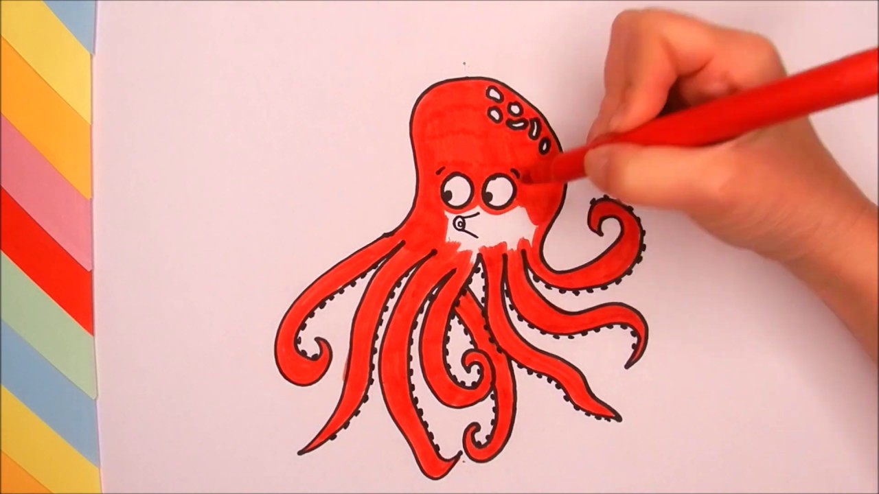 How to draw an octopus, polpo, pulpo, poulpe - YouTube