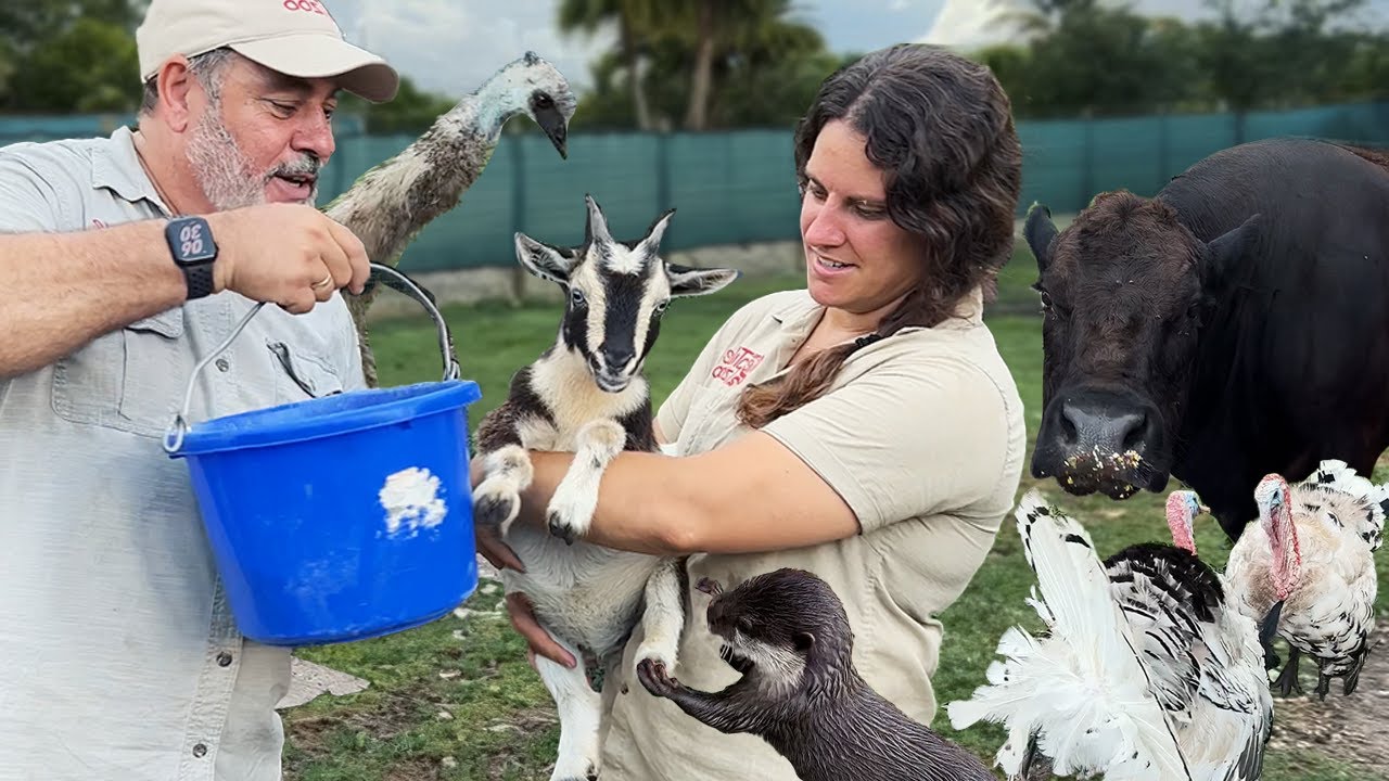 This is Blake's Exotic Animal Farm🤩 - YouTube