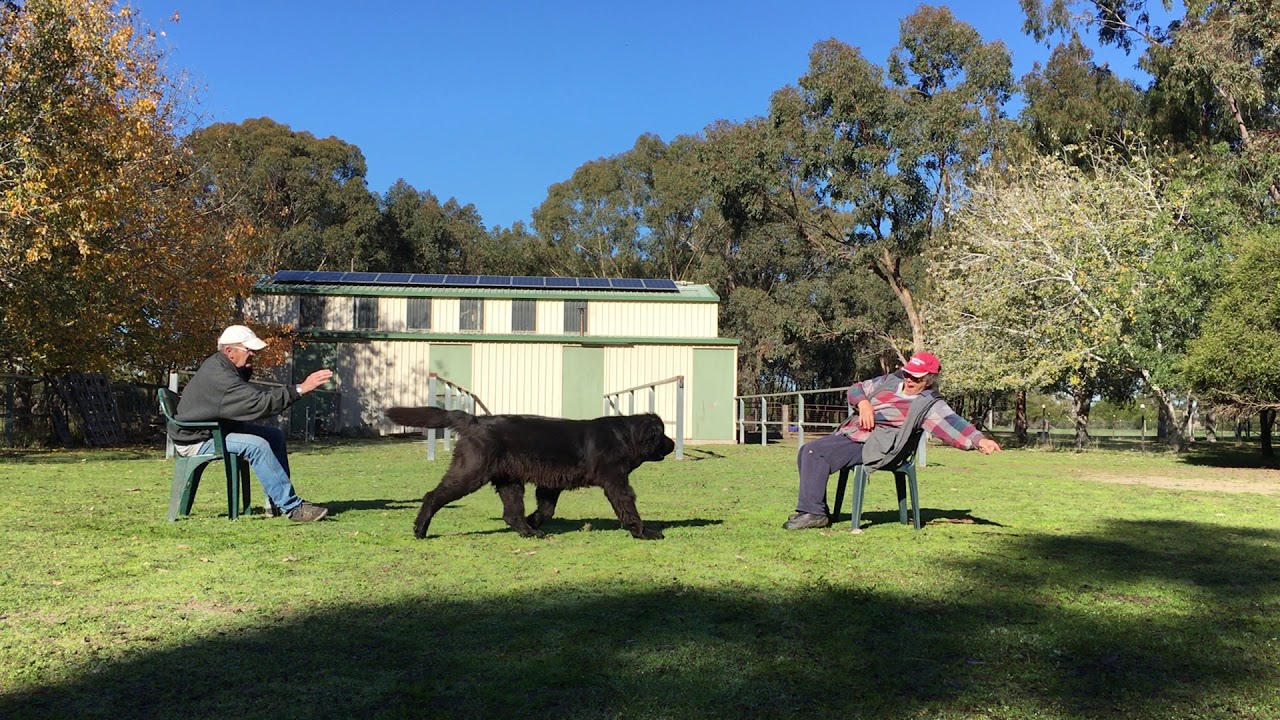 1 Urshie 16:5 Go around with support GOAD - YouTube