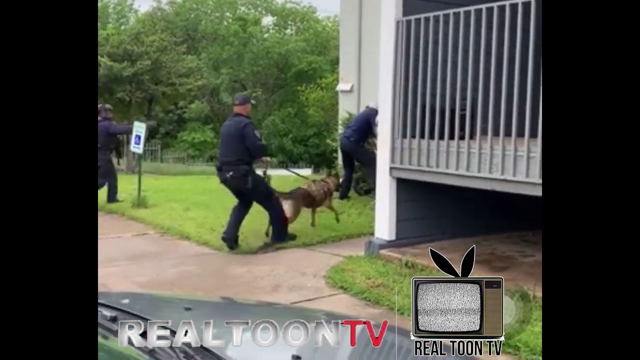 Dallas SWAT TEAM & GANG UNIT Raid Canterbury apartments in Oak Cliff ...