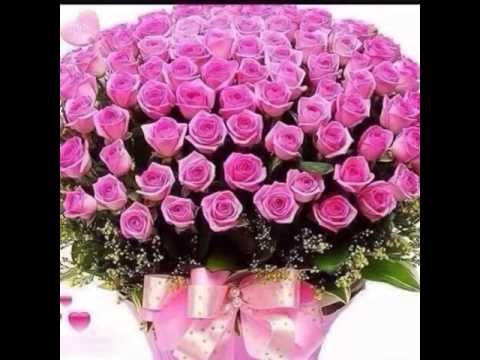 Dünyanı en güzel gulleri