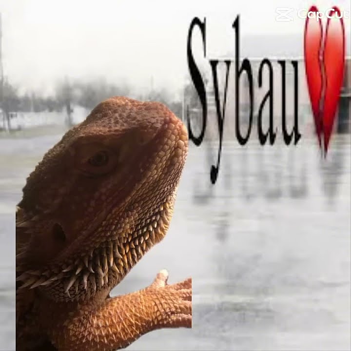 Make your own sybau - YouTube