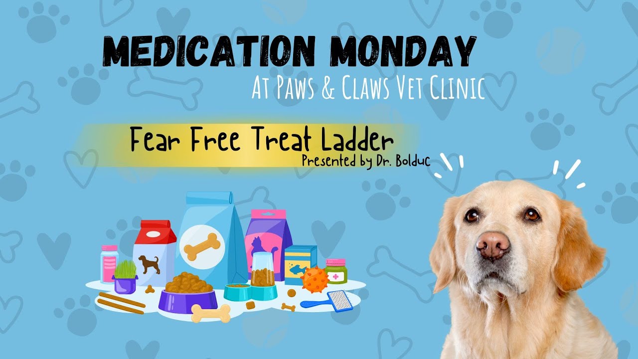 Fear Free Treat Ladder for Dogs – Reduce Stress & Build Trust! - YouTube