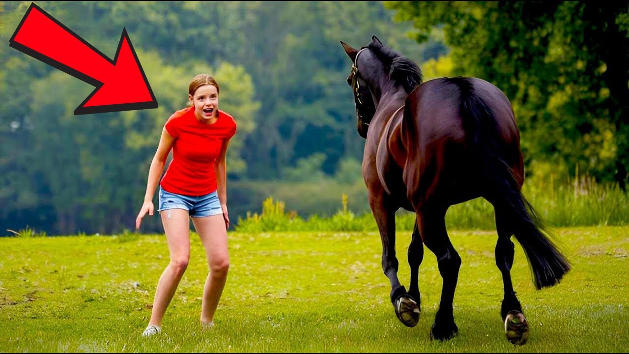 La Historia Conmocion Al Mundo Mira Lo Que Hizo El Caballo Con La la-historia-conmocion-al-mundo-mira-lo-que-hizo-el-caballo-con-la