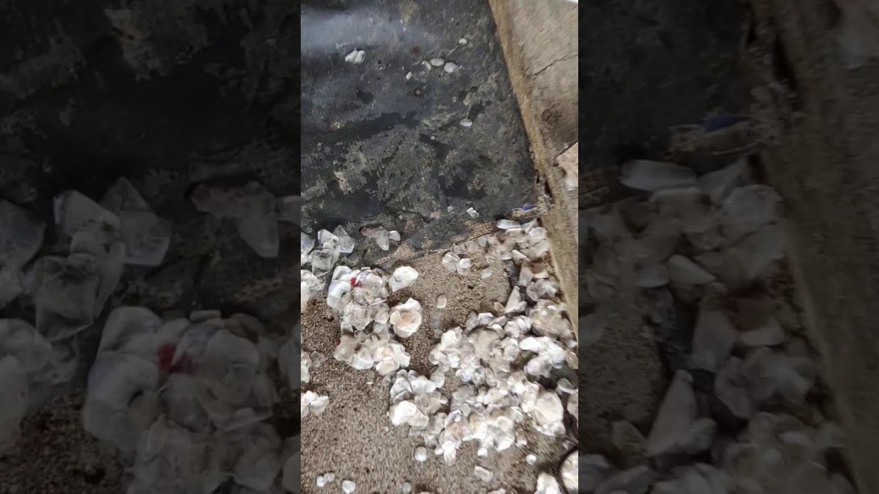 River avuri - YouTube