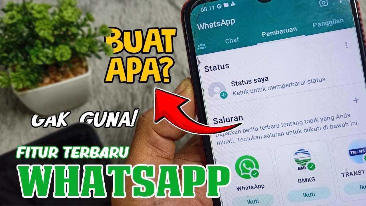 Fitur WA Terbaru "Saluran WhatsApp Untuk Apa?" | Fitur Terbaru WA - YouTube
