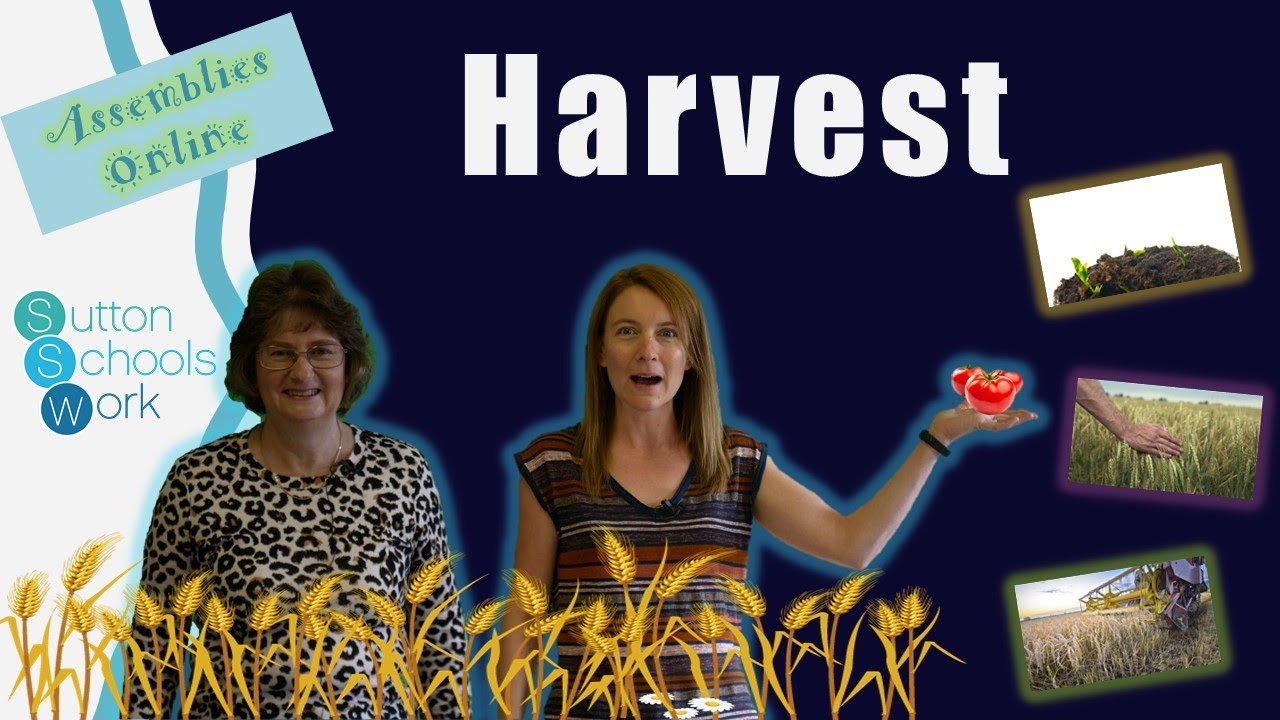 Harvest Assembly - YouTube