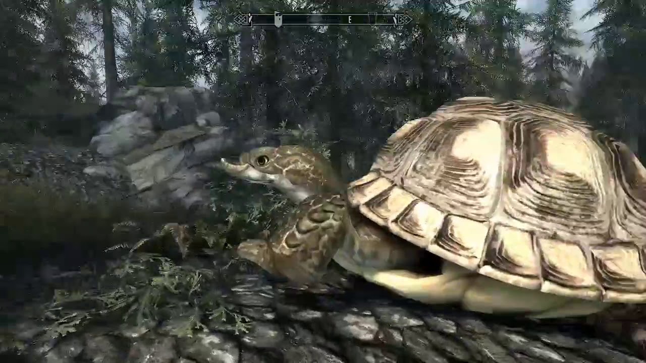 modded skyrim..giant turtle - YouTube