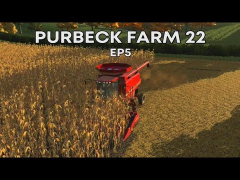 Purbeck Farm 22 on console ep5 - Farming Simulator 22 - YouTube