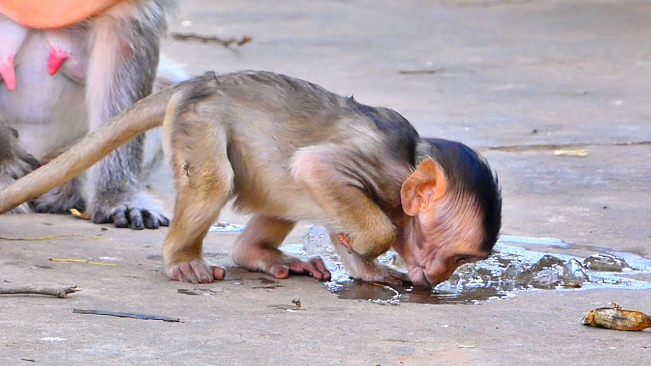 Most adored baby drinking water. - YouTube