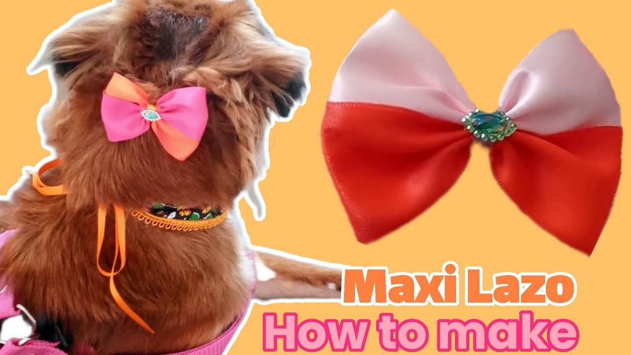 Beautiful (MAXI LAZOS) How to make 🐾🐾🐾🐾🐾🐾🐾🐾🐾🐾🐾🐾 - YouTube