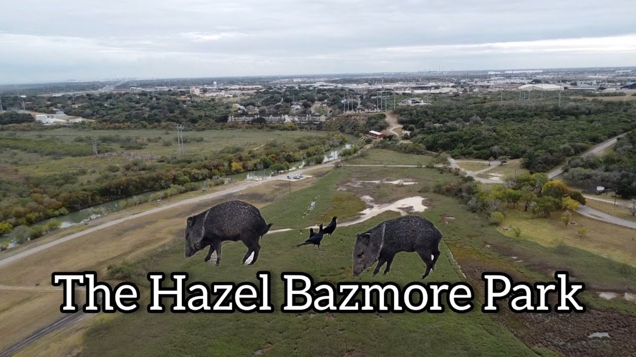 Kayaking out of Hazel Bazmore Park (Corpus Christi TX) - YouTube