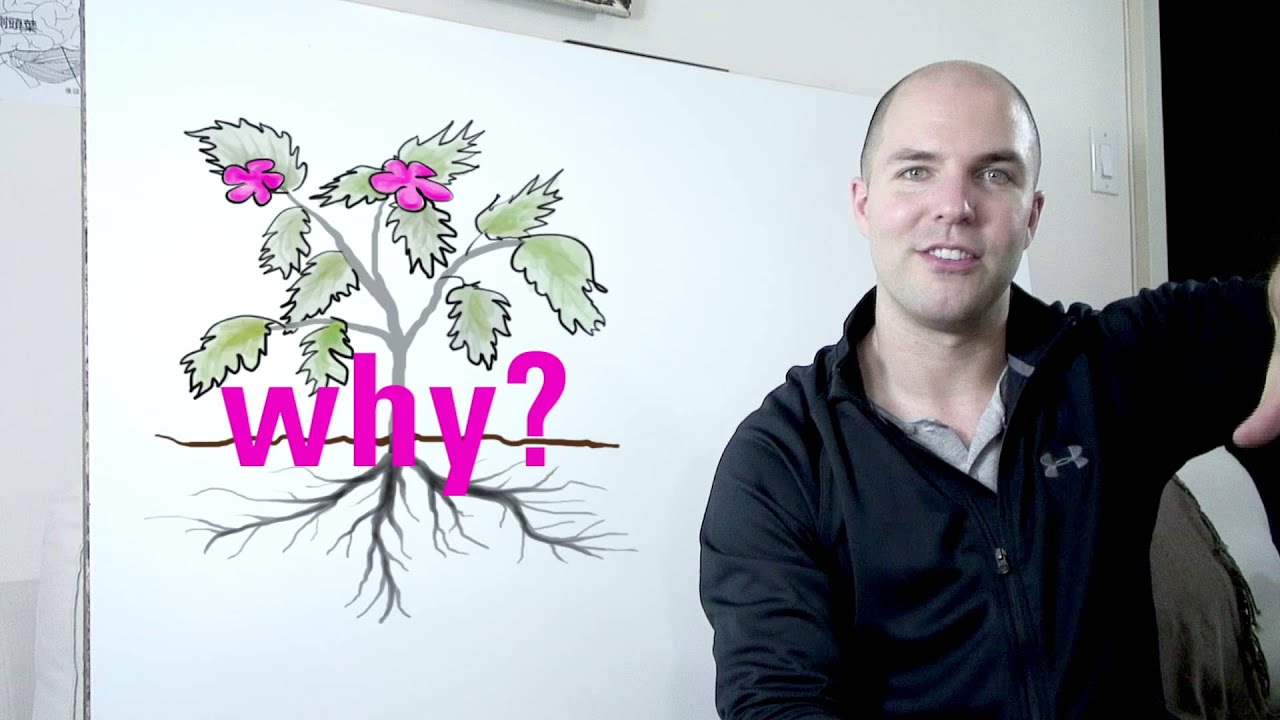 OCD is a weed. Rip up the roots! - YouTube