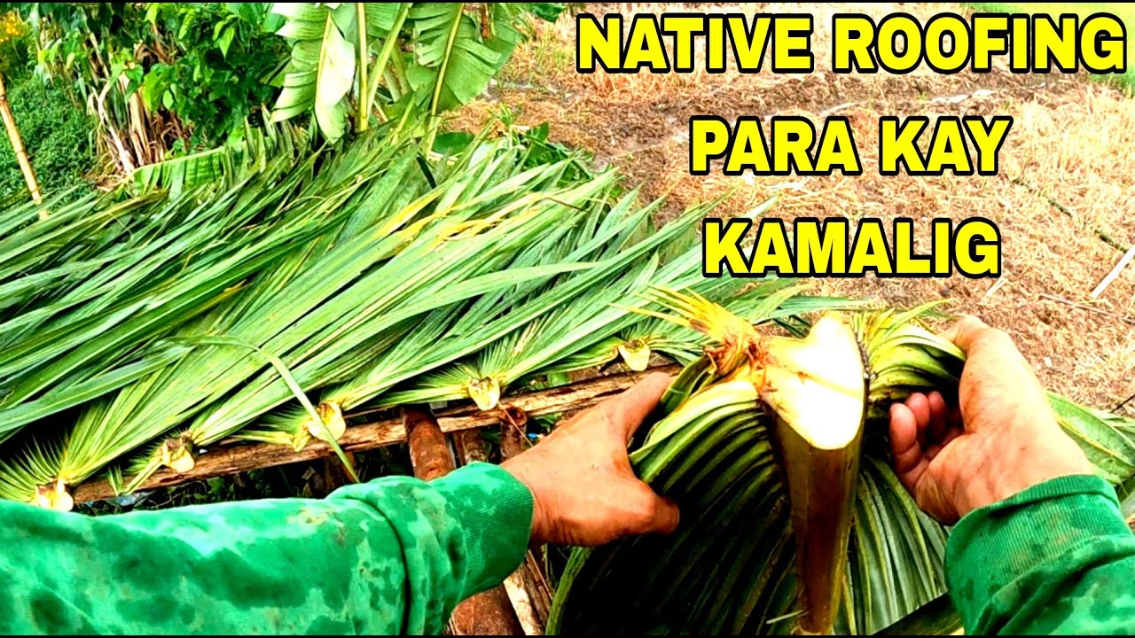 DAHON NG BULI BUBONG NI KAMALIG - YouTube