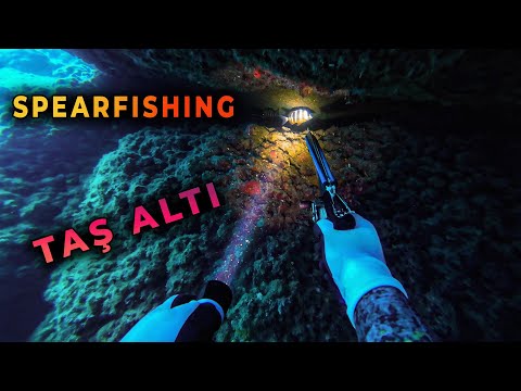 Spearfishing is life.. / Zıpkınla Balık Avı.. Seviyoruz bu hayatı...