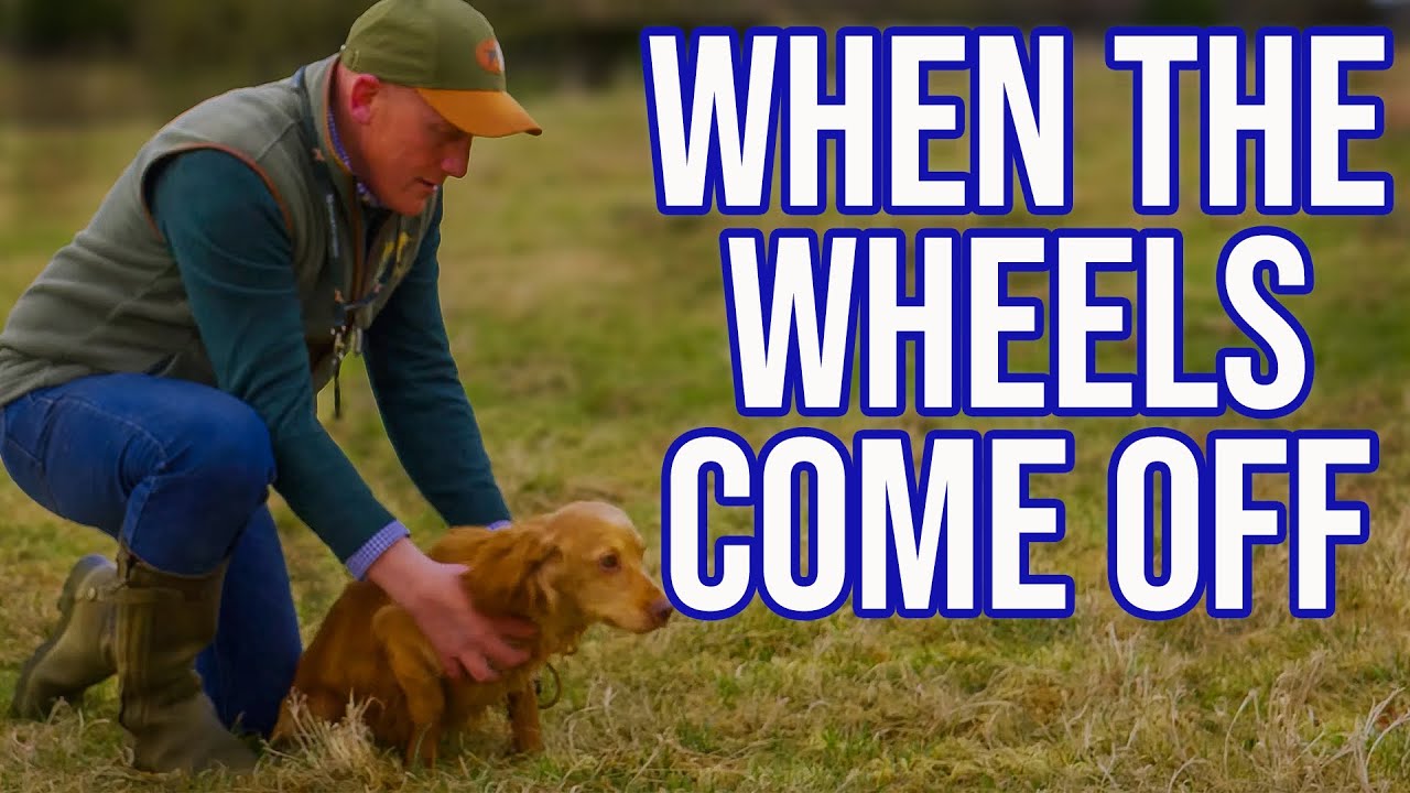 What Happens When You Take a MONTH OFF Training! - YouTube