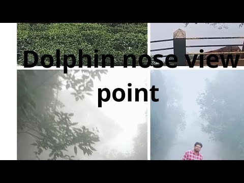 Coonoor vlog2:Dolphin nose view point - YouTube